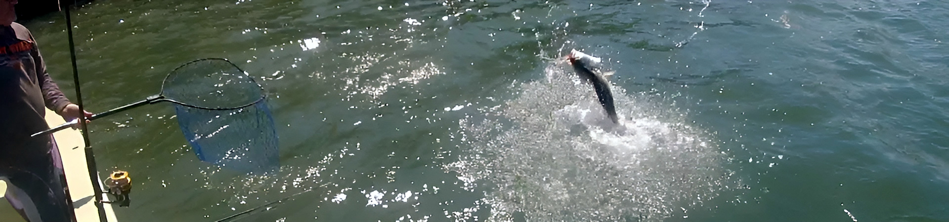 Nathan Kemp Barramundi Fishing | Fish with a local expert